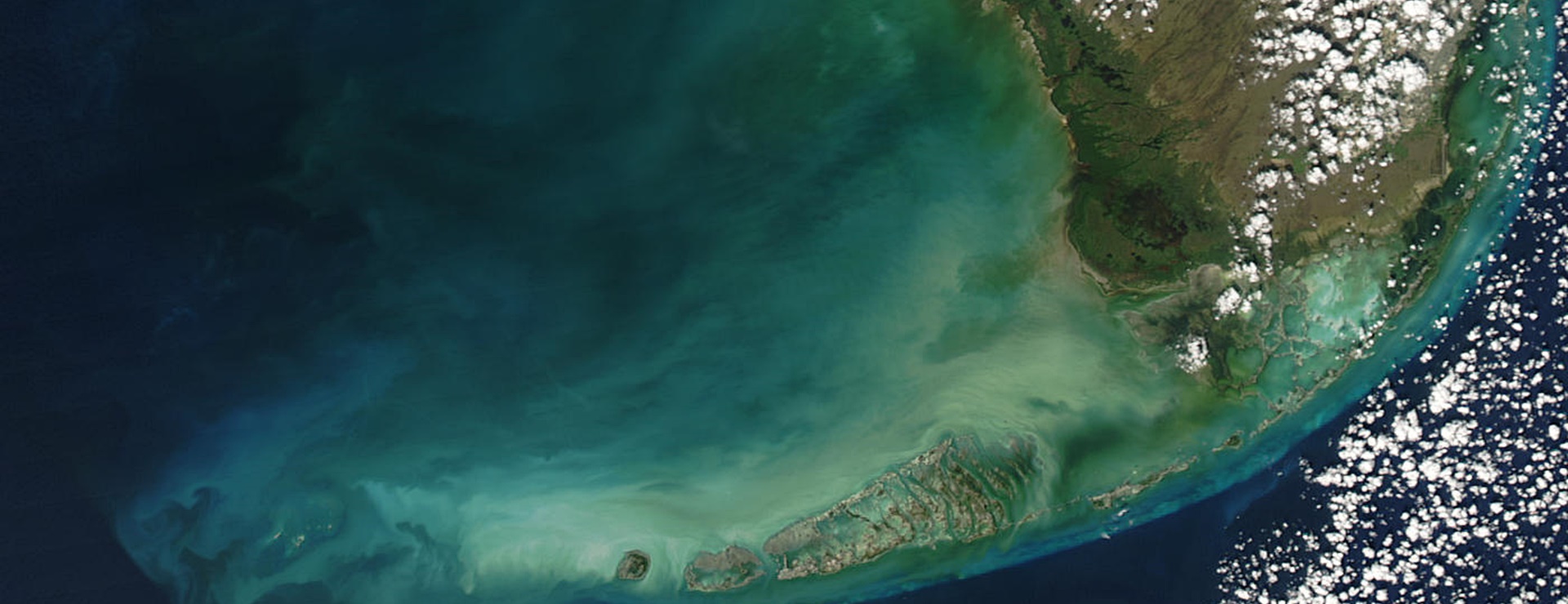 Home | Reef Relief Home - Reef Relief