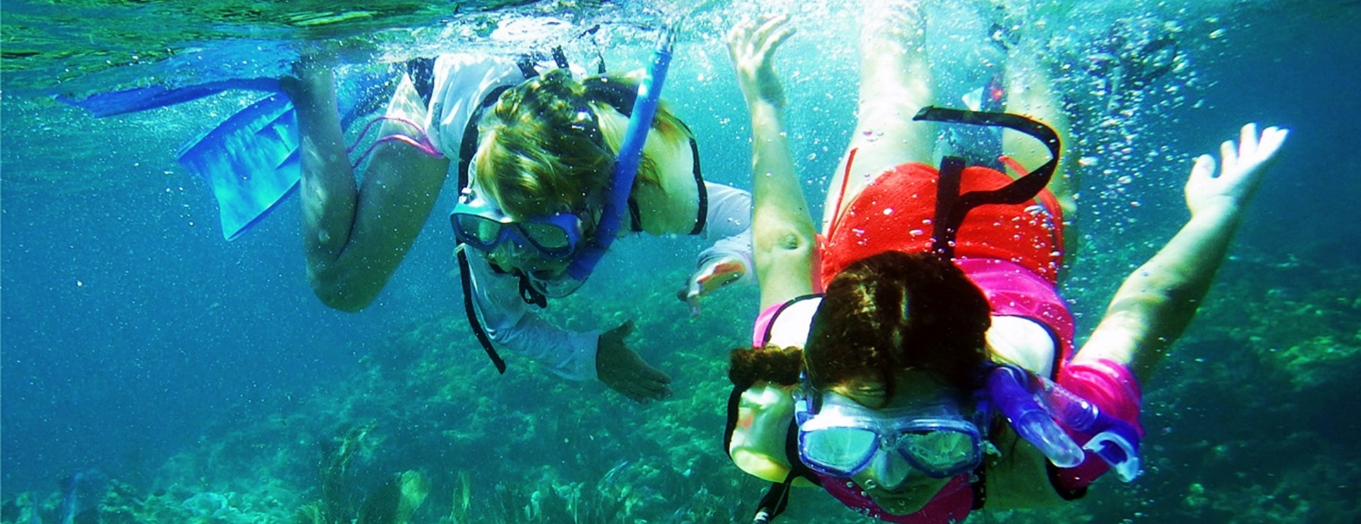 Home | Reef Relief Home - Reef Relief